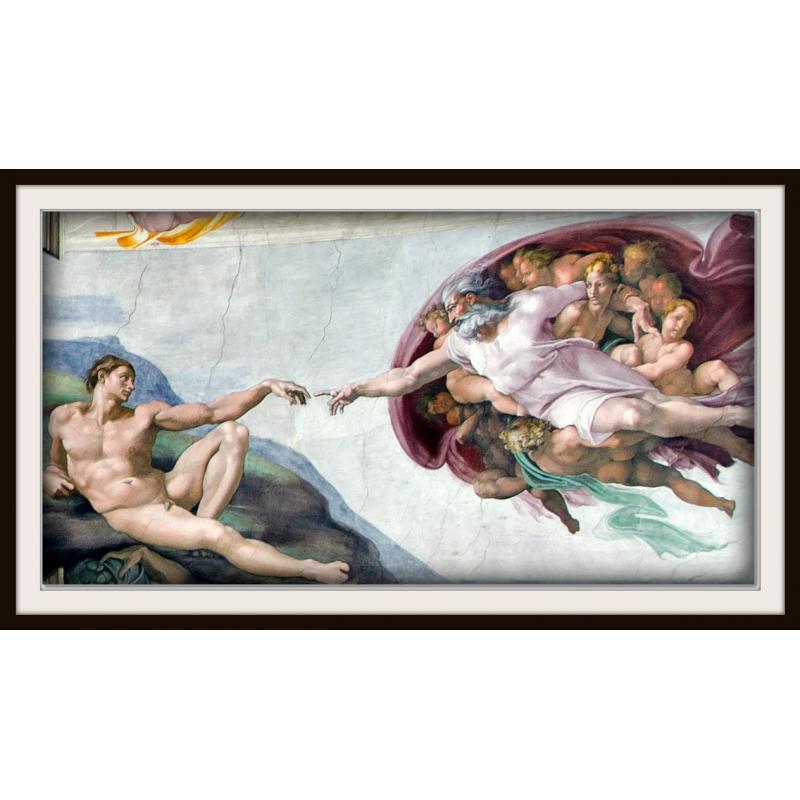 Universités religieuses : un gain pour les créationnistes | Agence ...